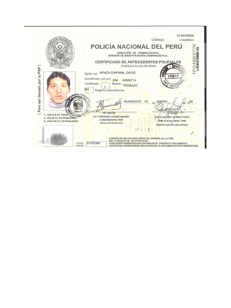 David Apaza Chipana | PDF