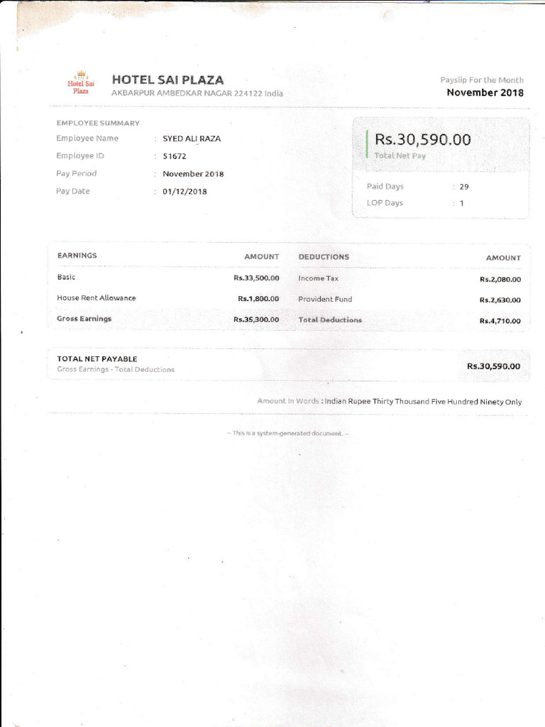 Pay Slip November 2018 | PDF