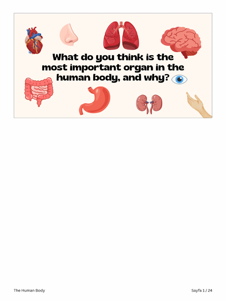 The Human Body | PDF