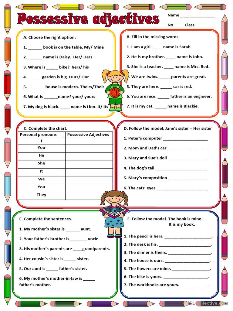 Possessive Adjectives | PDF | Morphology | Language Families