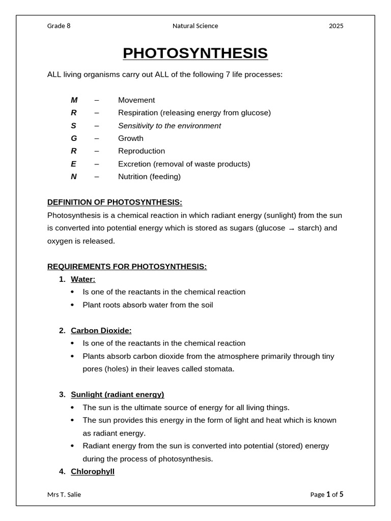 01. Grade 8 - Photosynthesis and Respiration (Notes) | PDF ...
