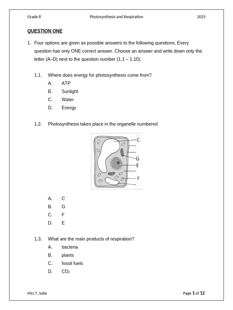 Photosynthesis and Respiration Quiz | PDF | Photosynthesis | Carbon Dioxide