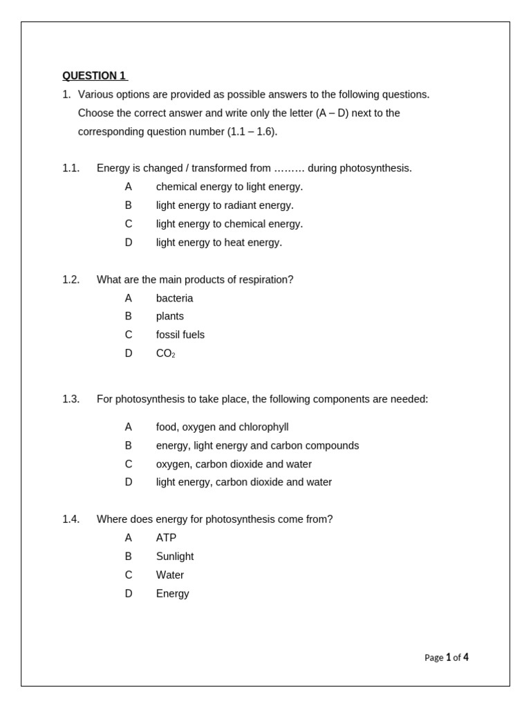 Photosynthesis Worksheet for Grade 8 | PDF | Photosynthesis | Cellular ...