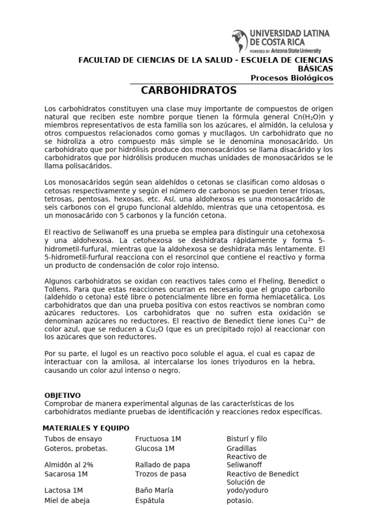Laboratorio de Carbohidratos y Lã Pidos | PDF | Carbohidratos | gordo
