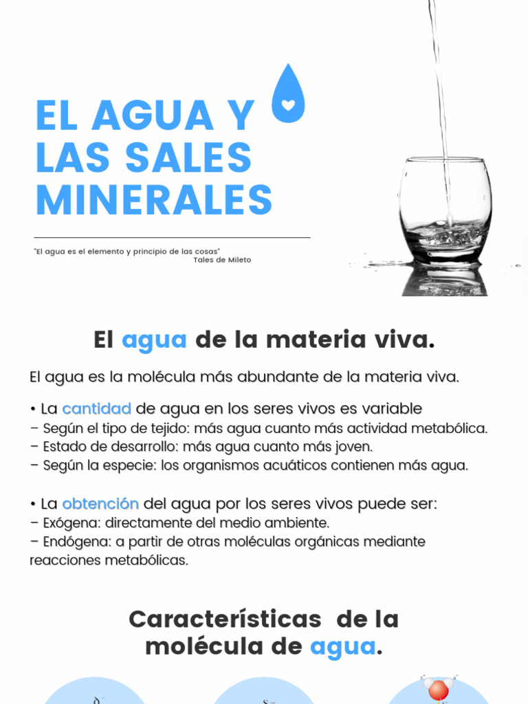 Tema 2 - El Agua y Las Sales Minerales | PDF | Propiedades del agua | Coloide