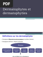 Guide Clinique de l'Intertrigo | PDF | Candida | Dermatite