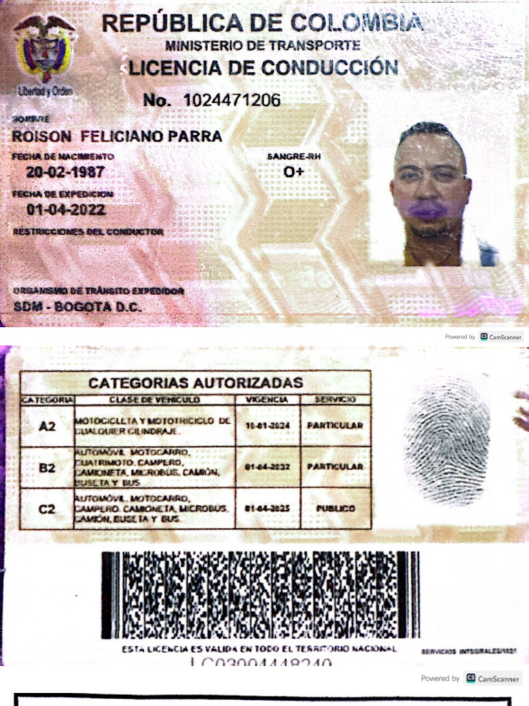 Documentos Roison Feliciano | PDF