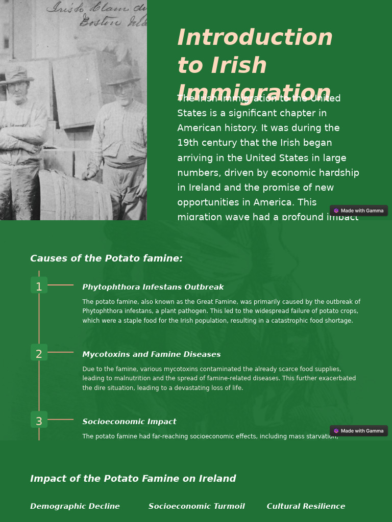 Irish Immigration and Its Impact | PDF | Great Famine (Ireland) | Famine