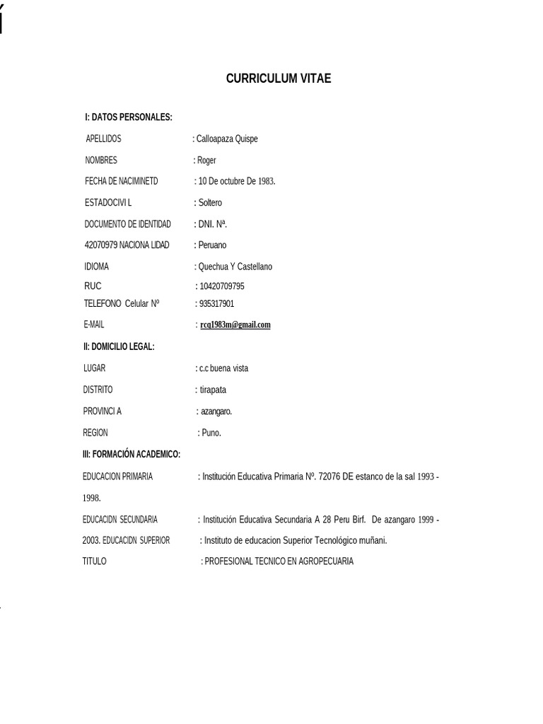 Currículum Vitae de Roger Calloapaza | PDF