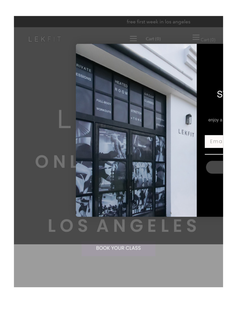LEKFIT Your Complete Fitness Method | PDF