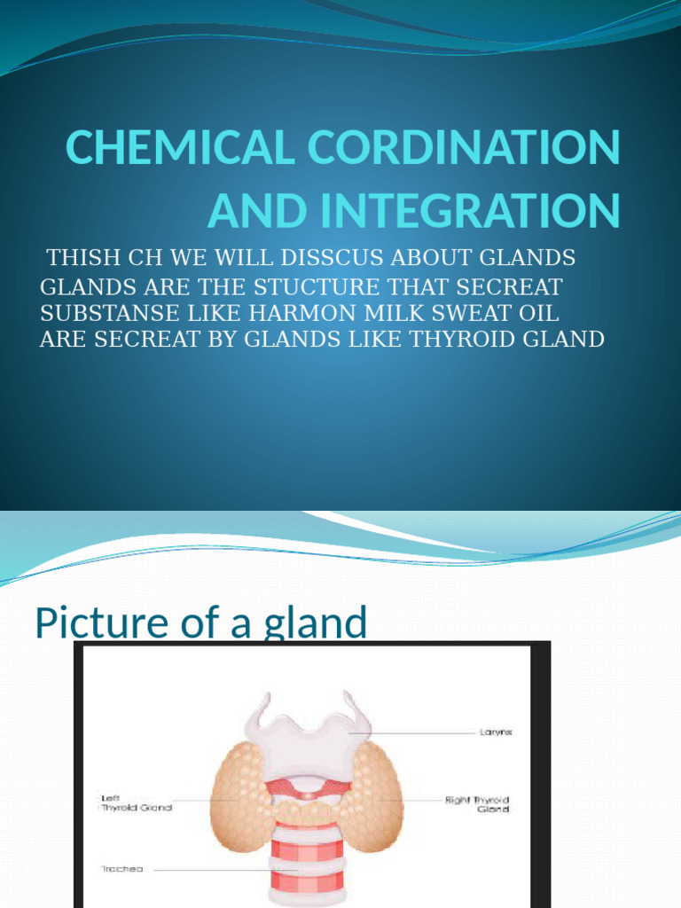 Chemical Cordination and Integration | PDF | Hypothalamus | Hormone