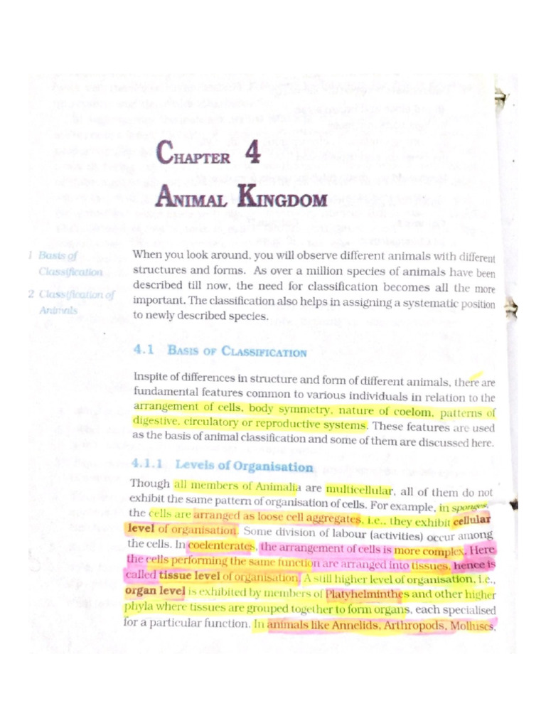 Animal Kingdom | PDF