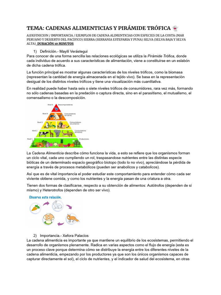 Pirámide Trófica y Cadenas Alimenticias | PDF | Red alimentaria | Ecología