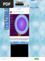 Interactive Mitosis and Meiosis Games | PDF | Mitosis | Cell (Biology)