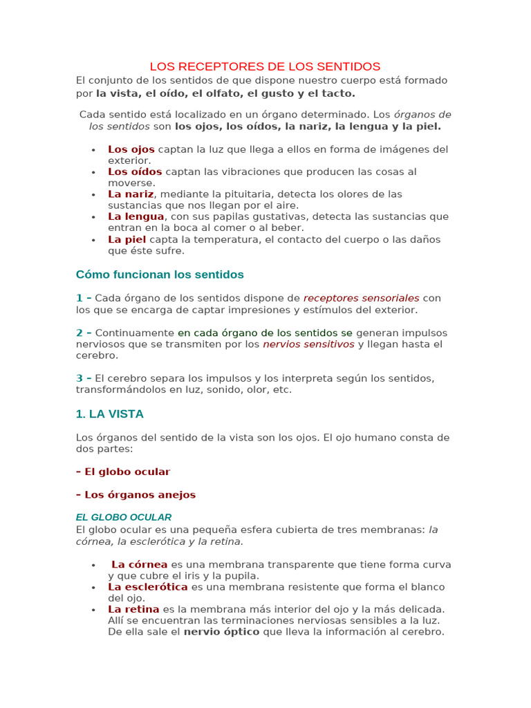 Los Cinco Sentidos | PDF | Gusto | Ojo