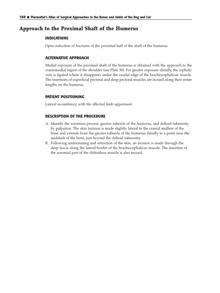 Acessos Laterais para A Diafise Proximal e Media Do Umero | PDF ...