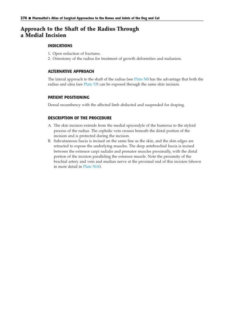 Acesso Medial A Diafise Do Radio | PDF | Soft Tissue | Human Anatomy