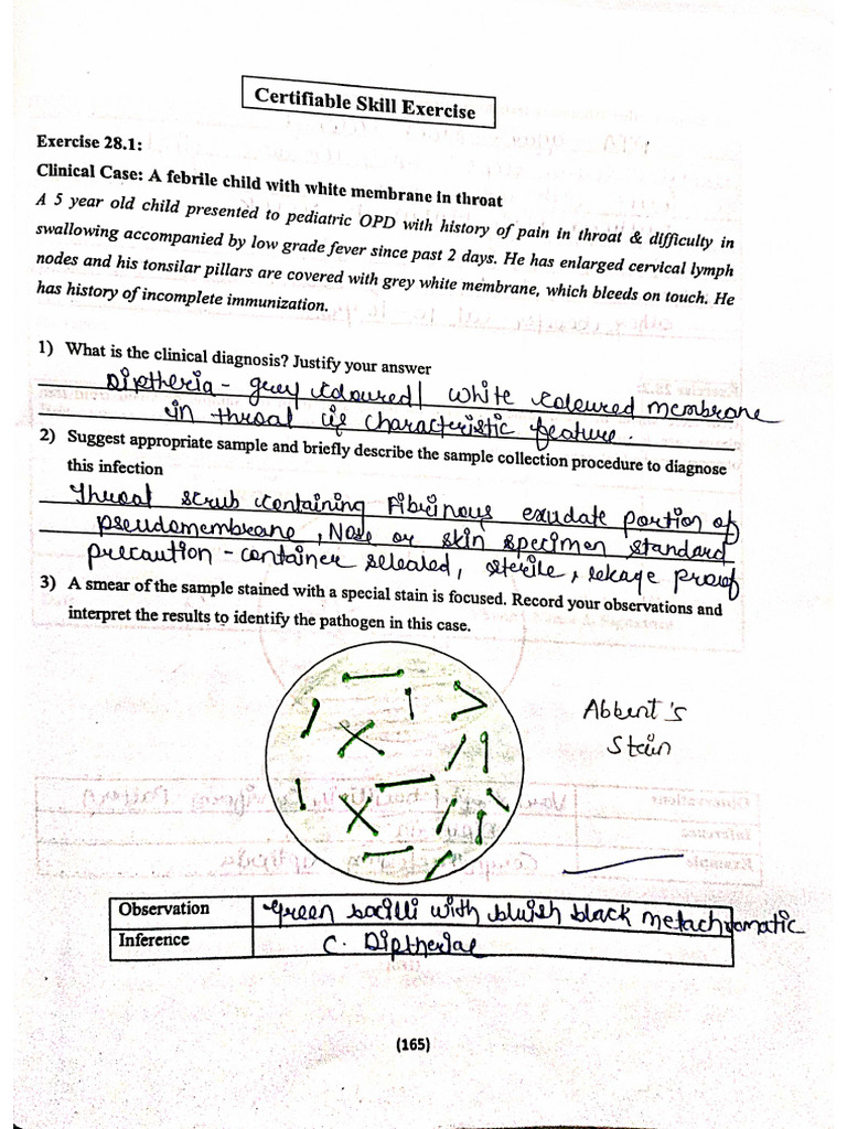 Micro Journal-1 | PDF