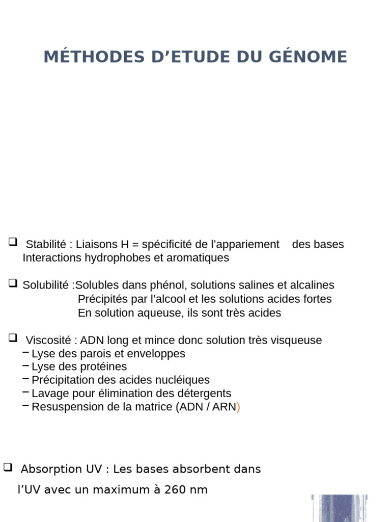 Techniques D'étude Du Génome | PDF | Réaction en chaîne par polymérase | Enzyme de restriction