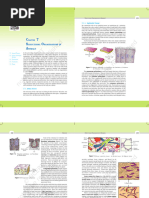 Animal Tissue NCERT | PDF | Epithelium | Connective Tissue