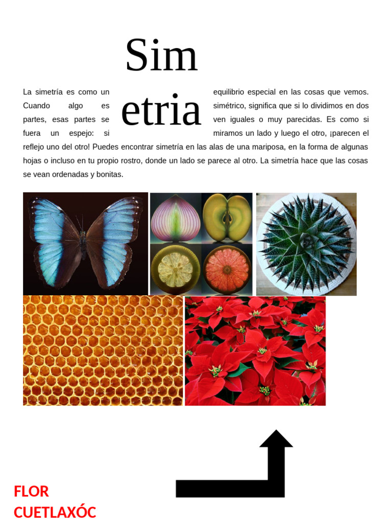 Ejercicio Complementario 9 | PDF