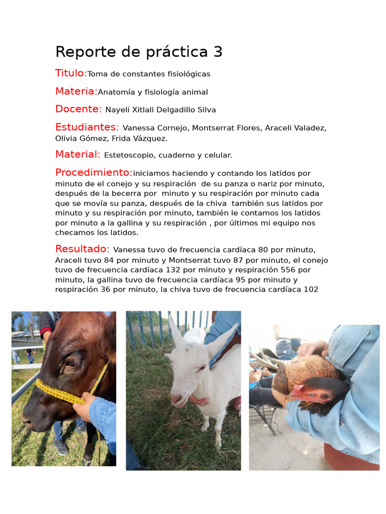 Documento Reporte de Práctica 3 | PDF