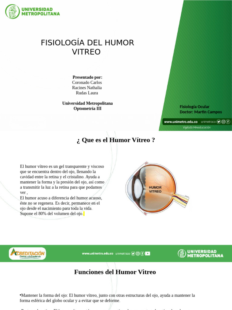 Humor Vitreo 102421 | PDF | Ojo humano | Oftalmología