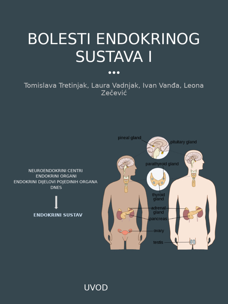 Bolesti Endokrinog Sustava I (s29-s2) 1 | PDF