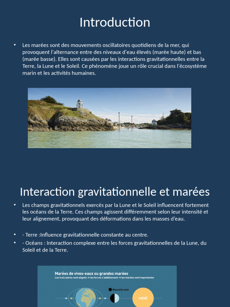 Les_Marees_Illustrated_Final_Presentation | PDF