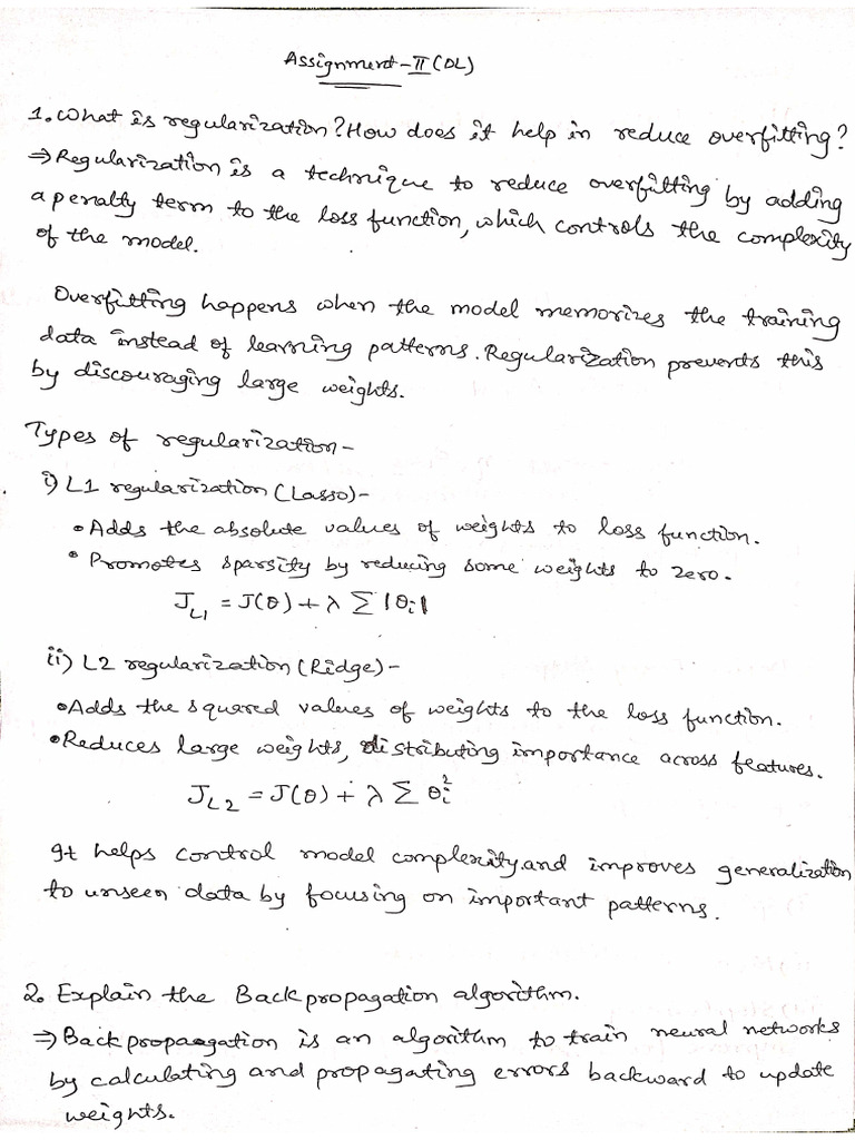 DL (2nd Assignment) | PDF