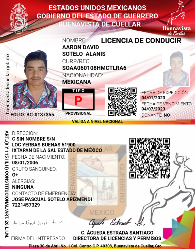 Aaron David | PDF