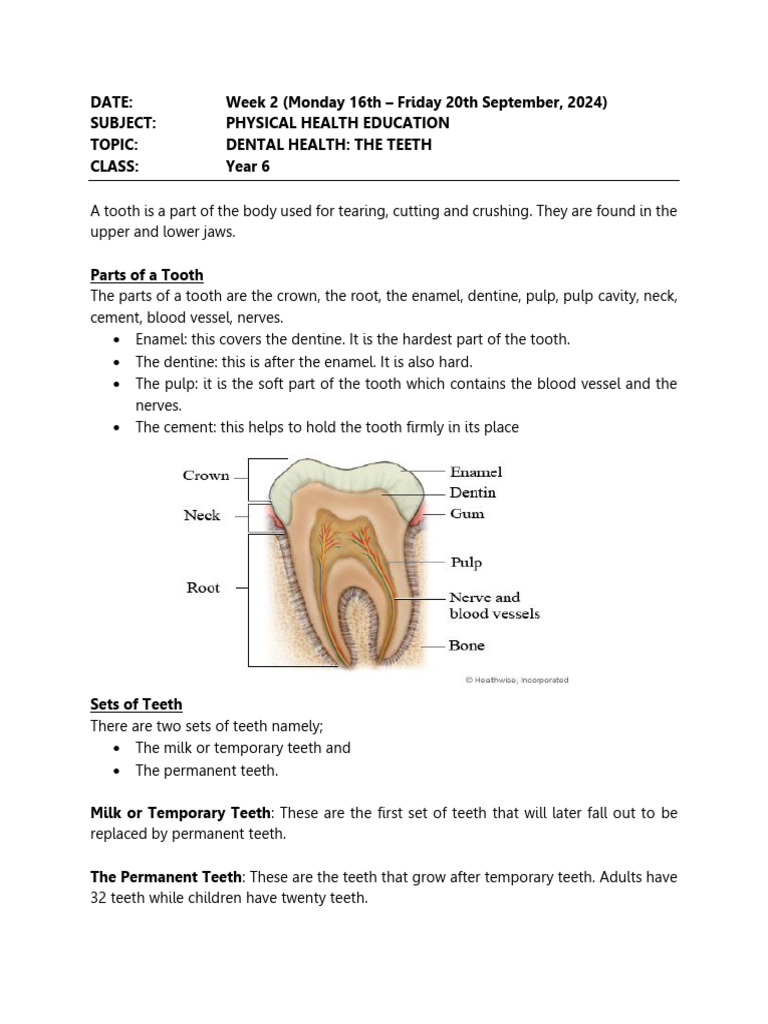 Date: Week 2 (Monday 16th - Friday 20th September, 2024) Subject ...