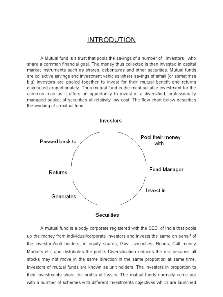 Introduction | PDF | Mutual Funds | Securities (Finance)