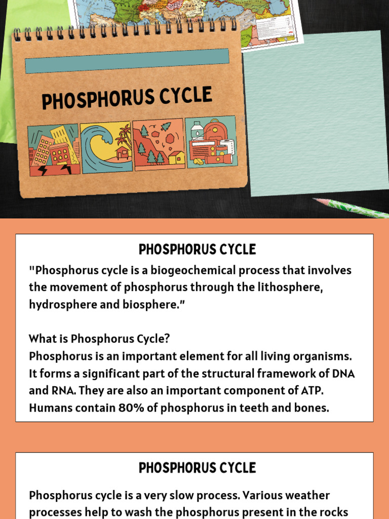 Phosphorus Cycle GAS J | PDF | Phosphorus | Eutrophication