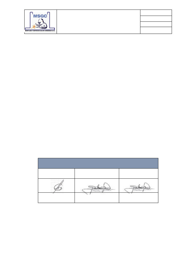 Procedimiento Flushing | PDF