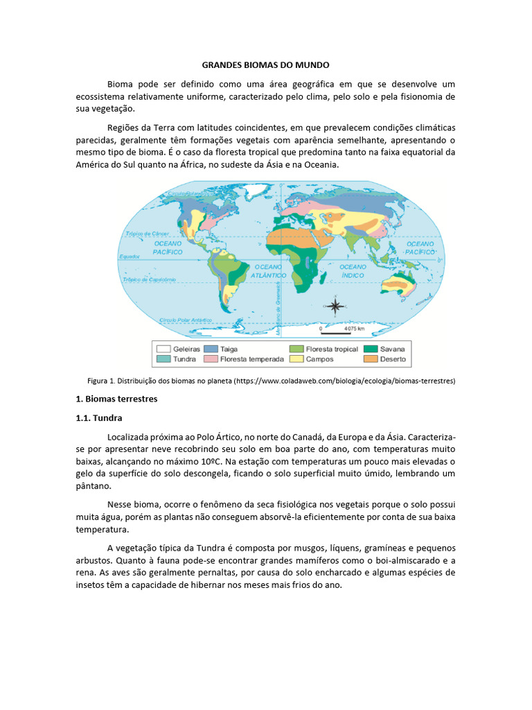 Biomas do Mundo para o 4º Ano | PDF | Florestas | Savana