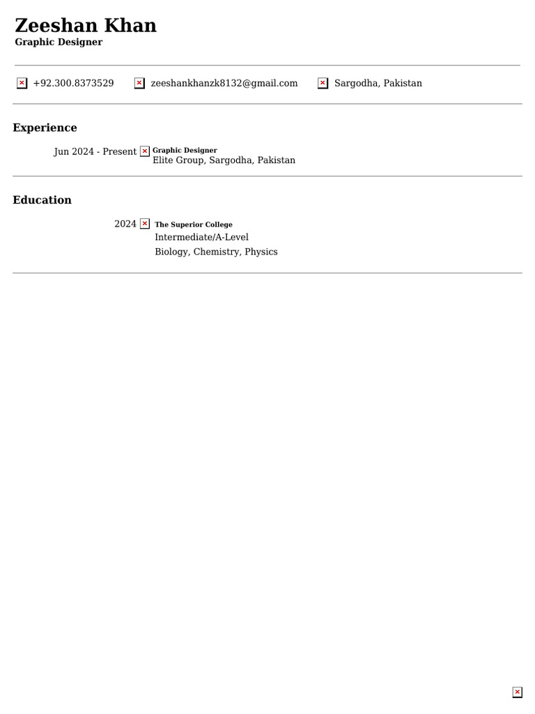 Zeeshan CV | PDF