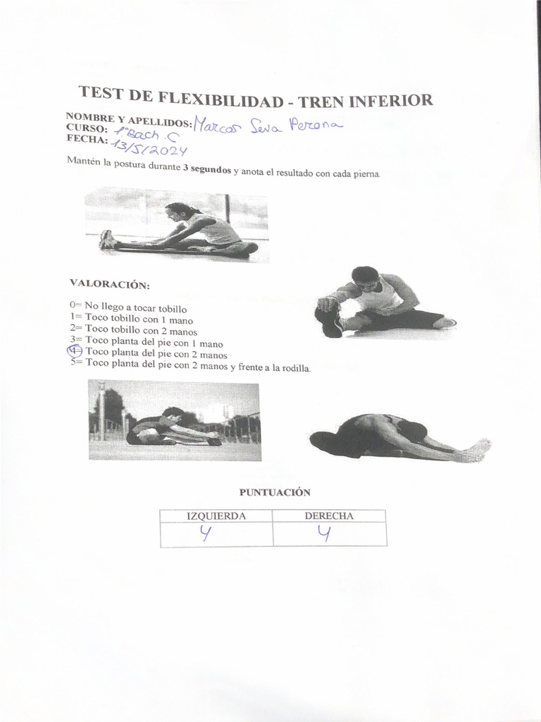 Flexi | PDF