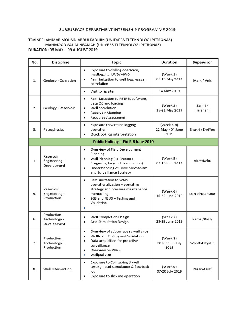 Subsurface Internship Plan 2019 | PDF | Fuel Production | Petroleum
