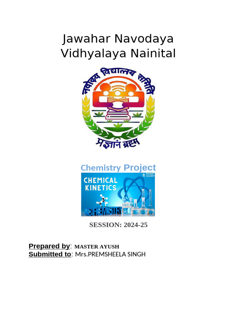 Ayush Project File (1) | PDF