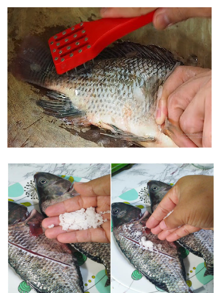 pagprito ng isda | PDF