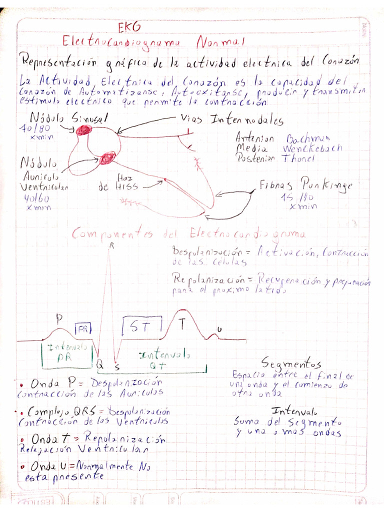 EKG Normal - Apuntes | PDF