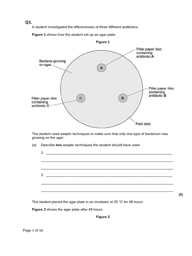 RP 2 culturing microorganisms | PDF | Infection | Bacteria