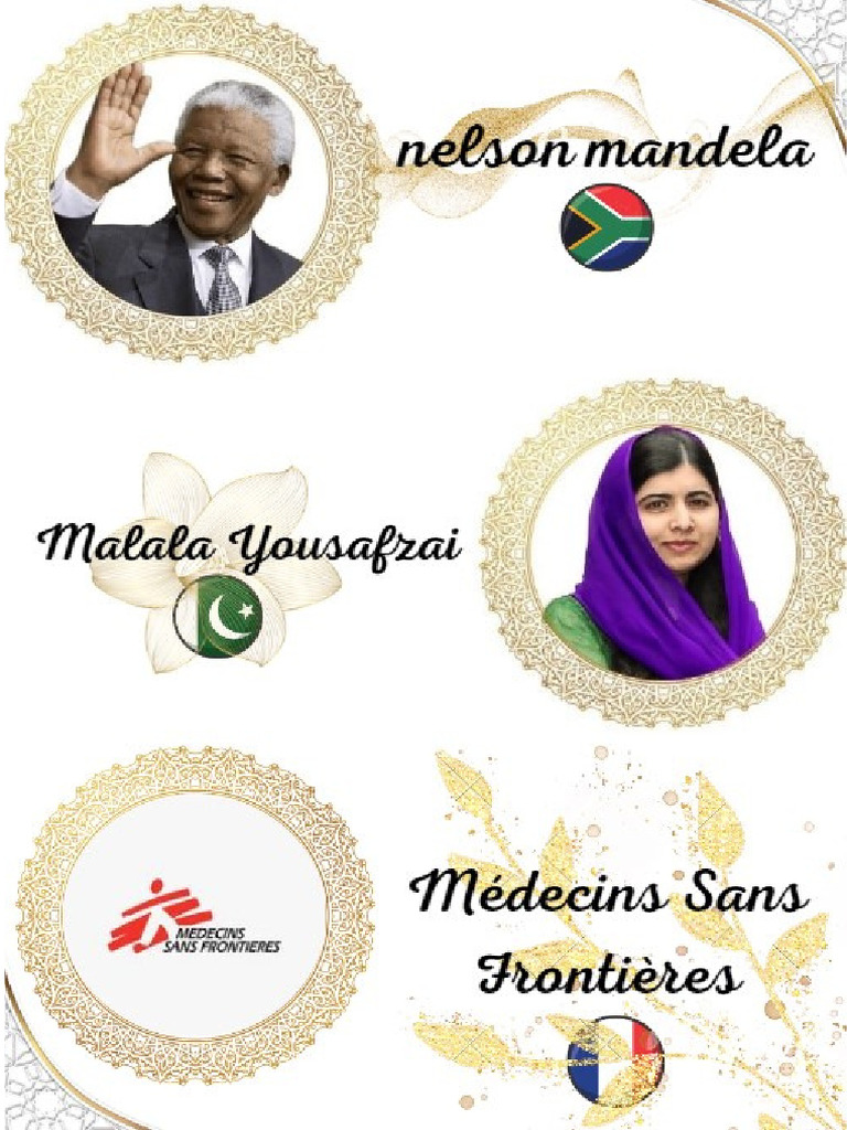 Médecins Sans Frontières | PDF