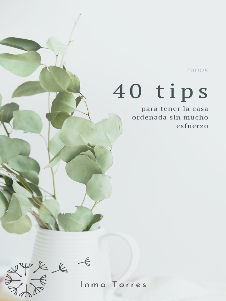 Tips para mantener tu casa ordenada | PDF