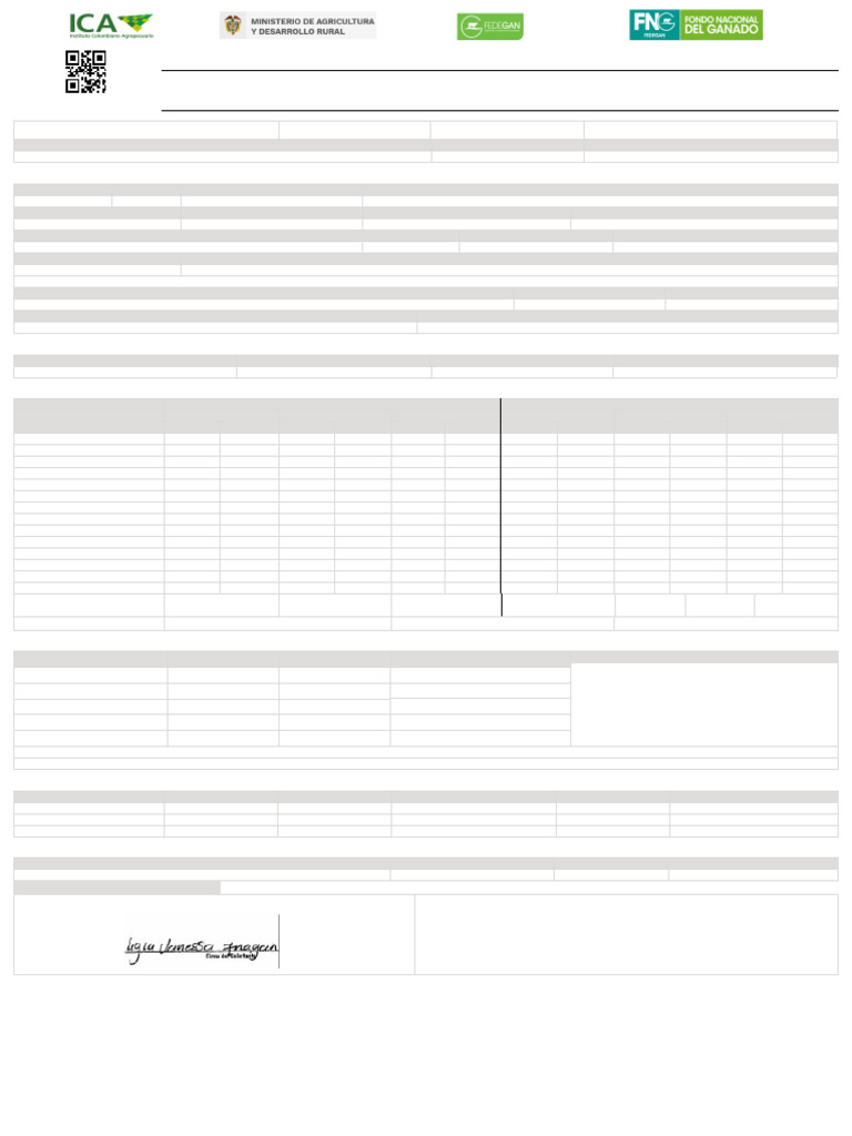 DIEGO ARMANDO CUARAN CUARAN | PDF