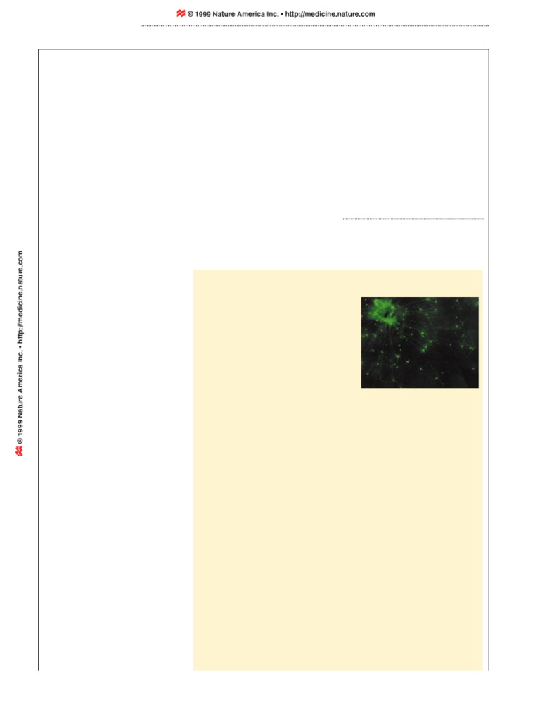Autoimmune T Cells-Not Always The Bad Guys | PDF | Hiv | Lymphocyte