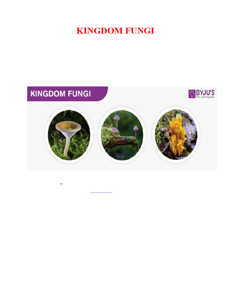 KINGDOM FUNGI (2) | PDF | Fungus | Sexual Reproduction