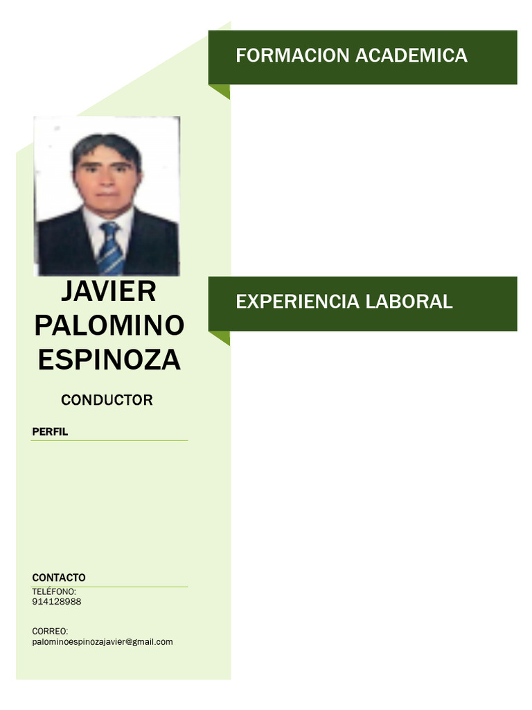 CV- JAVIER PALOMINO ESPINOZA 3 | PDF