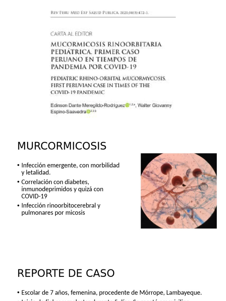Expo Micro 3ra Unidad | PDF